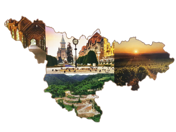 Județul Timiș - Consiliul Județean Timiș